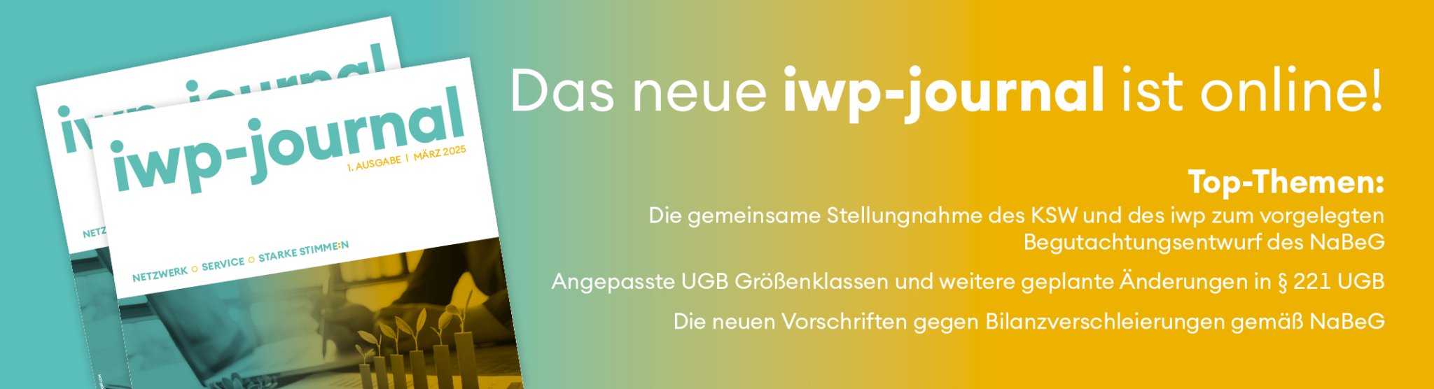 Institut Österreichischer Wirtschaftsprüfer